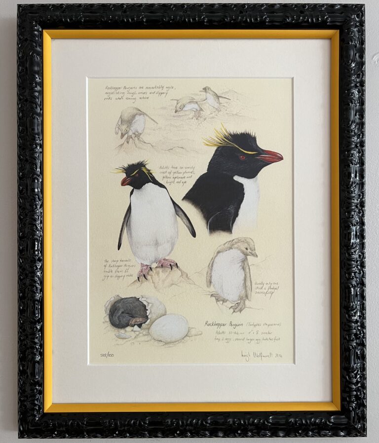 Custom Mattings for Frames, Pictures, & Art in Los Angeles